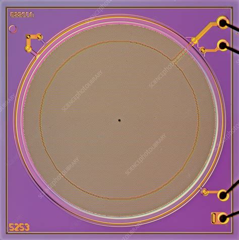 Smartphone MEMS Microphone LM Stock Image C046 0805 Science Photo Library