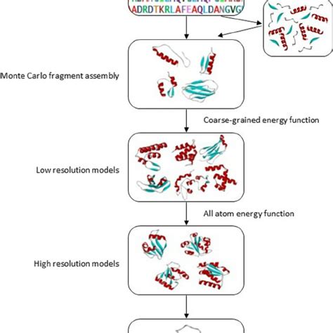 General Workflow Of I Tasser For Protein Structure Prediction 30