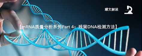 【耀文解读】mrna质量分析系列part 4：残留dna检测方法 Cxo Mrna疫苗 Rna疗法 注：本文不构成任何投资意见和建议，以官方 公司公告为准；本文仅作 医疗健康