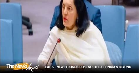 india supports un efforts to continue black sea grain initiative ruchira kamboj