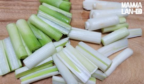 대파 김치 담그는법 파김치 양념 만들기 대파무침 대파 김치 담그는법 파김치 양념 만들기 대파무침