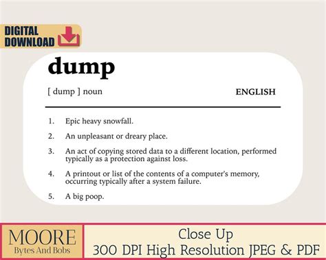 Dump Definition Print Printable Bathroom Definition Toilet Etsy