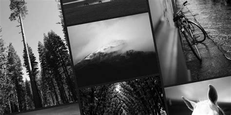 Grid Layouts In WordPress Portfolio Sites Design Tips Examples ThemeTrust