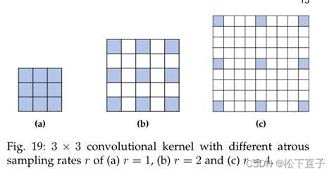医学图像分割综述 U Net系列 医学图像 实例分割 Csdn博客