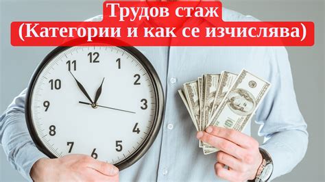 Трудов стаж Категории и как се изчислява Счетоводни Услуги