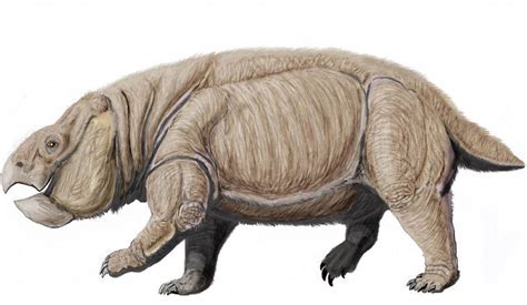 Triassic Animals Discover The Animals That Lived In The Triassic Period