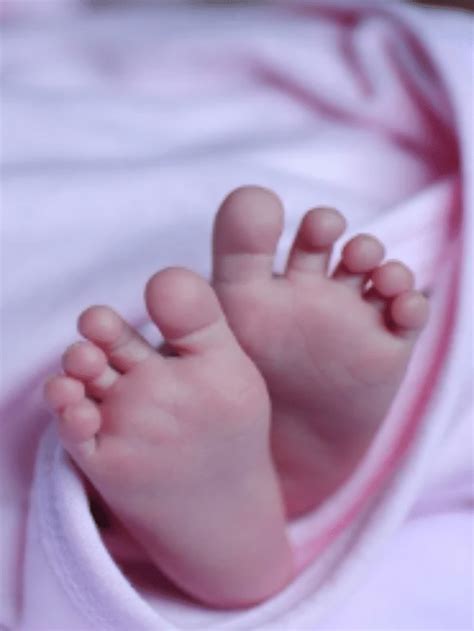 इस देश ने सरोगेसी को माना यूनिवर्सल क्राइम दूसरे मुल्कों में भी नहीं ले सकेंगे ये सुविधा Tv9