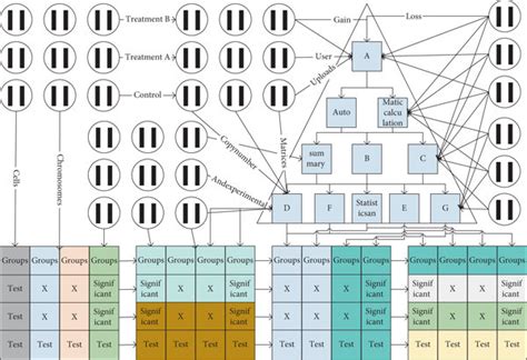 Discriminative Target Equation Face Recognition Algorithm Framework Download Scientific Diagram
