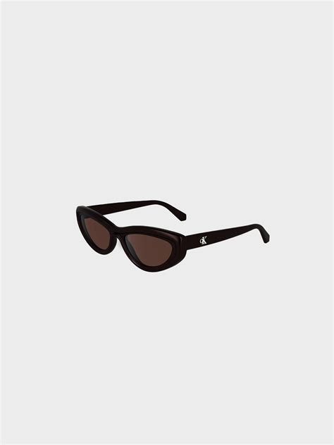 Calvin Klein Womens Cat Eye Sunglasses Dstore Egypt