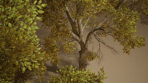 Foliage Vol 3 Oak Trees Nanite And Low Poly Unreal Engine Asset