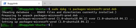 linux에 core 설치 asp core microsoft learn