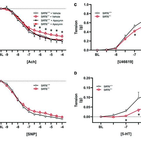 Expression Of Individual Sirtuin Isoforms In Sirt6 And Sirt6 − Download Scientific