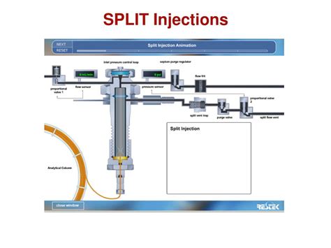 PPT GC Setup PowerPoint Presentation Free Download ID