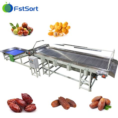 Fstsort Medjool Dates Grading Equipment Date Packaging Machine Date