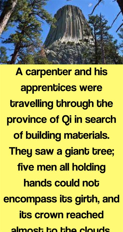 The Giant Tree Daily Quotes And Jokes