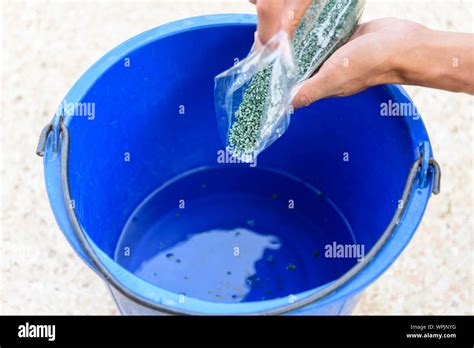 Pour The Water Mix Rice Trichoderma Harzianum To Bin For Filter