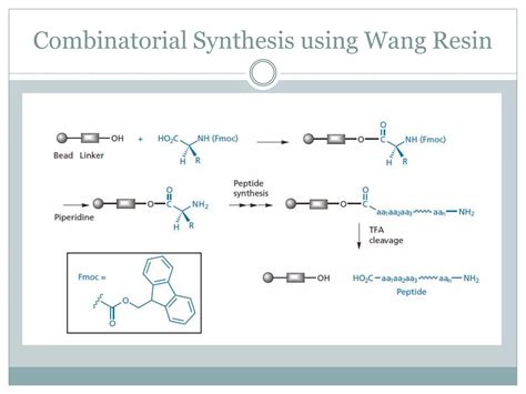 Combinatorial Synthesis Pdf