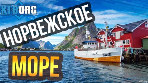 Русская рыбалка 4 Норвежское море Качаю море рр4 Kiborg V9 Youtube