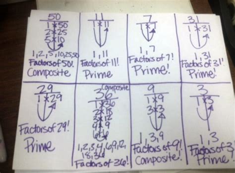 Heather S Show And Tell Prime And Composite Numbers
