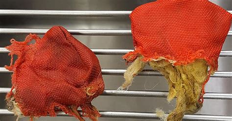 As An Essential Employee Veterinary Nurse Life Is Odd Right Now As An At Risk Individual Its