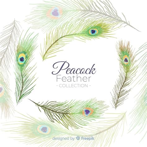 Free Vector Modern Hand Drawn Peacock Feather Collection