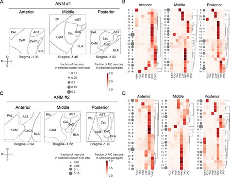 Figures And Data In Multimodal Mapping Of Cell Types And Projections In The Central Nucleus Of