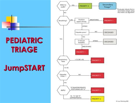 Ppt Efficient Triage And Incident Management Plan Powerpoint Presentation Id 9326067