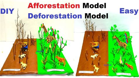 Afforestation And Deforestation Model Science Exhibition Diy Step By Step Cool Science