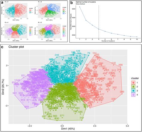 Machine Learning Based Cluster Analysis Identifies Four Unique