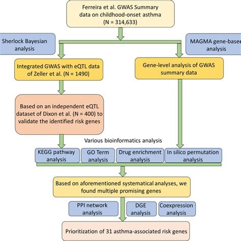 The Workflow Of Current Study For All The Genomics Analysis Download Scientific Diagram
