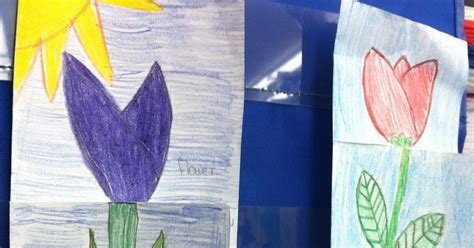 A Teachers Idea Foldables In Science