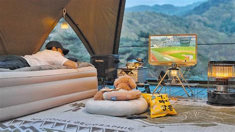 캠핑 브이로그 2평 작은 텐트를 강아지가 좋아하는 아늑한 공간으로 만들기 반려견 동반 여행 모닥불 Asmr Youtube