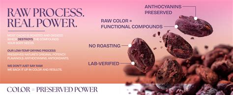 High Flavanol Cocoa Nibs Pure Purple Cocoa Vital Purple