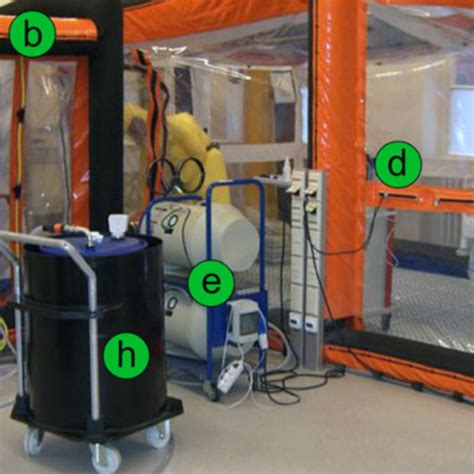 Lisa Feldmann University Of Hamburg Hamburg Uhh Department Of