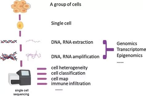 Single Cells From Ffpe Samples Fast Forward Discoveries