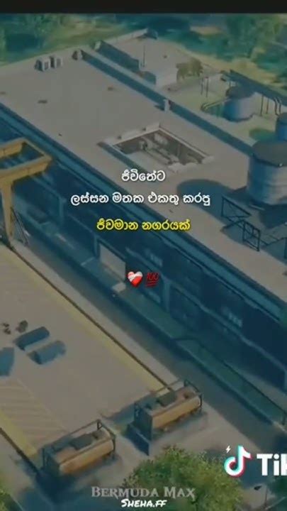 කාටද මතක මේ නගරේ🥺🫀 Youtube