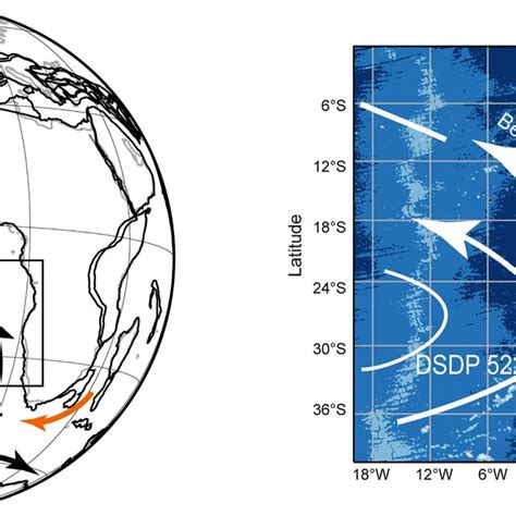 Coccolithophores Assemblage Composition And The Benthic Foraminifera Download Scientific