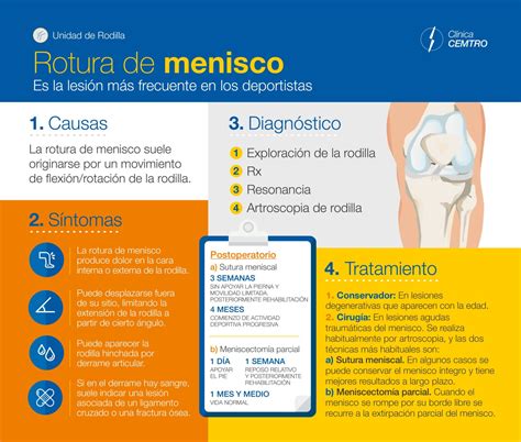Lesión De Menisco Causas Tipos Y Tratamientos