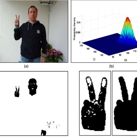 A Face Detection B Skin Color Model Distribution C Inverted Binary Download Scientific
