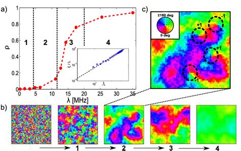 A Order Parameter ρ Vs Interaction Strength λ In The Kuramoto Model Download Scientific