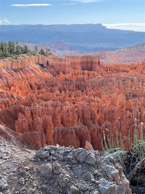 Road Trips And Dlrs Declarative Lookup Rollup Summaries