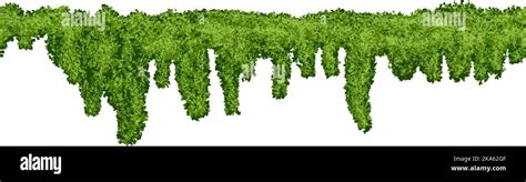Horizontal Endless Swamp Moss Texture On White Background Stock Vector