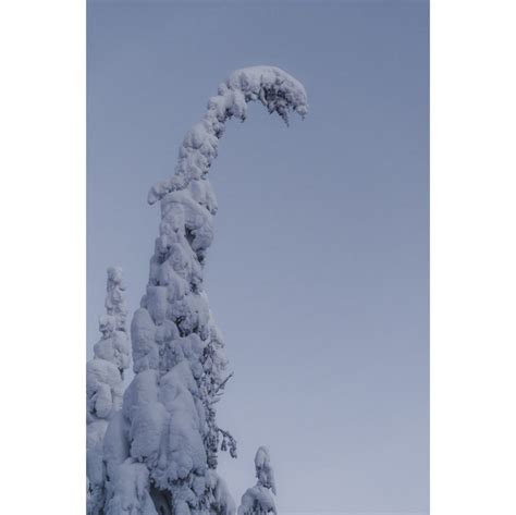 Купить картину Поклон в Москве от художника Туев Денис