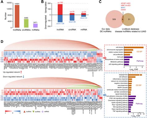 Integrated Multi Omics Analysis For Lung Adenocarcinoma In Xuanwei