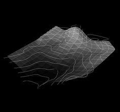 1000 Images About Grasshopper On Pinterest Grasshoppers Rhinos And Grasshopper Rhino