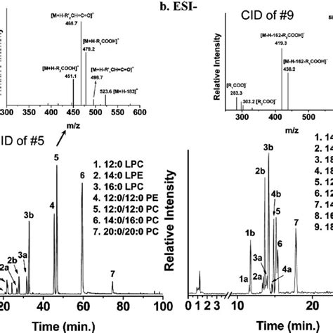 Schematics Of Nanoflow Lc Esi Ms With A Pulled Tip Capillary Column Download Scientific Diagram