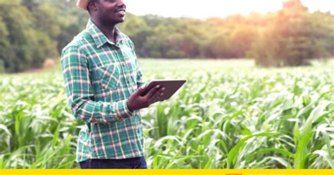 Assistente De Atendimento E Caixa De Loja Para Pemba