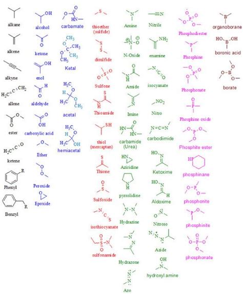 Biochemistry Functional Groups The Scariest Worksheet Ever