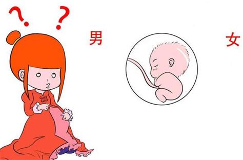 孕期如何預測生男生女？超准！ 每日頭條