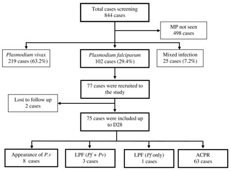 Screening Algorithm Of The Study Cases MP Malaria Parasite Download Scientific Diagram